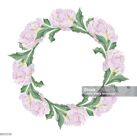 손으로 그린 섬세한 분홍색 모란 꽃 새싹 및 나뭇잎이있는 수채화 원형 프레임 배열 흰색 배경에 고립되어 있습니다 초대장 결혼식 사랑 또는 인사말 카드 종이 인쇄물 섬유 개체