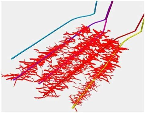Hydraulic Fracture Propagation Model Of H Platform In The Research Area Download Scientific