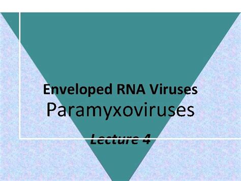 Enveloped Rna Viruses Paramyxoviruses Lecture 4 Paramyxoviruses Measles