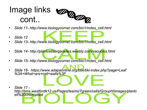 2 03 Cell Structure And Function Ppt Biological Sciences Science