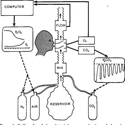 Figure 1 From Hypoxic Ventilatory Drive In Normal Man Semantic Scholar