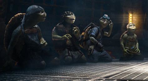 Cutest Turtle Tots 1987 1990 2003 2012 Bayverse Rise Mutant Mayhem