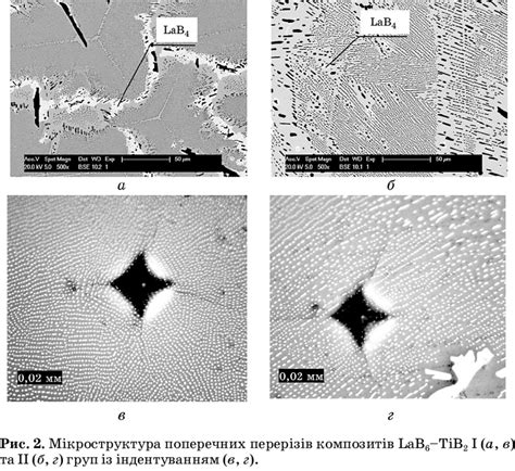 The Microstructure Of Cross Sections Of The Lab 6 Tib 2 Composite Of І Download Scientific