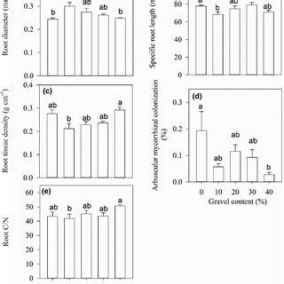 Differences In A Root Diameter B Specific Root Length C Tissue Download Scientific