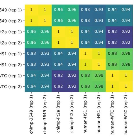 Fig S5 Hi C Correlation Values Per Hi C Sample Download Scientific Diagram