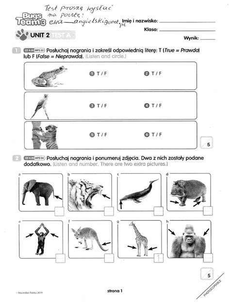 Bugs Team 3 Unit 2 Test Pdf