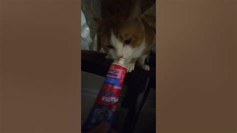 Barneyyy çok Tatlısınn Youtube