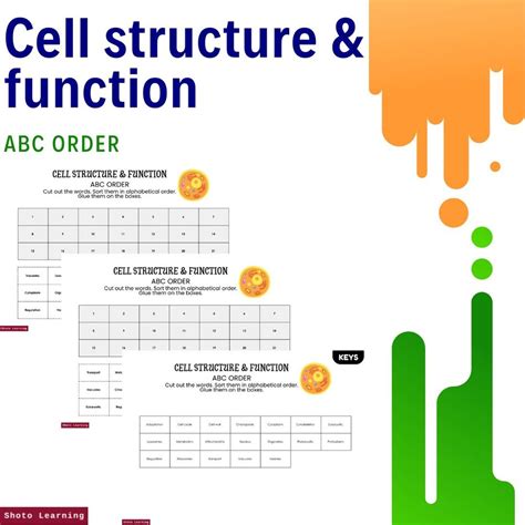 Cell Structure And Function Qanda Worksheet Boost Biology Skills