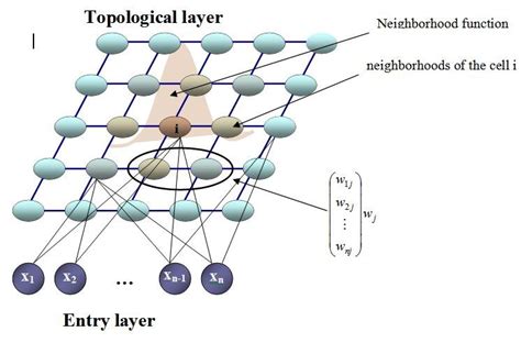 8 The Principle Of The Self Organizing Map Download Scientific Diagram