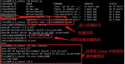 jenkins 全局工具配置（jdk 、maven、nodejs） 魂皓轩 博客园