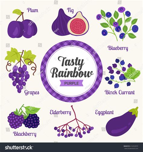 Tasty Rainbow Set Purple Color Fruits Stock Vector Royalty Free