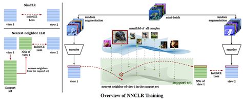 The Beginners Guide To Contrastive Learning