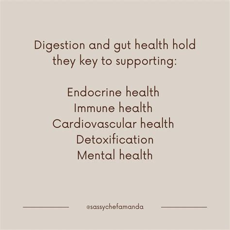 A Properly Functioning Digestive System And Healthy Microbiome Are The