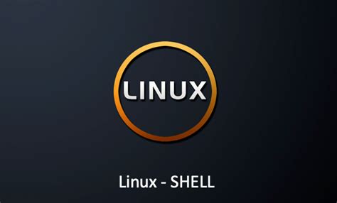 Linux — Classic Shell Questions You Able To Answer These Linux Shell