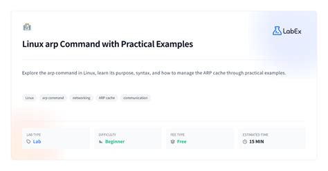 Linux Arp Command With Practical Examples Labex