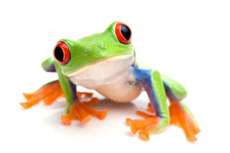 Dr James Mannion On Linkedin How The Eef Gets Metacognition And Self Regulation Wrong And Why It…