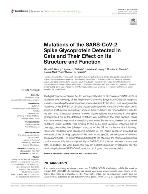 Pdf Mutations Of The Sars Cov 2 Spike Glycoprotein Detected In Cats And Their Effect On Its