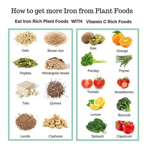 Vitamin C And Iron Owen Knox