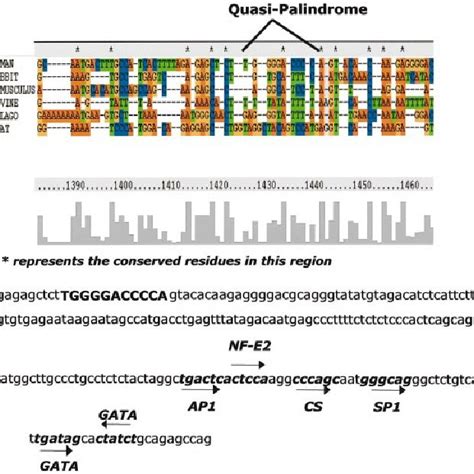A Multiple Sequence Alignment Of The Hs4 Region In The B Globin Download Scientific