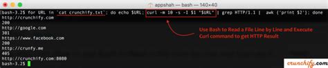 Linux And Curl How To Use Bash To Read A File Line By Line And Execute