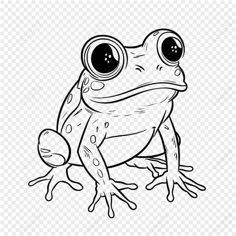 색칠 페이지 아이들을위한 귀여운 개구리 개요 스케치 드로잉 벡터두꺼비미술 Png 일러스트 무료 다운로드 Lovepik