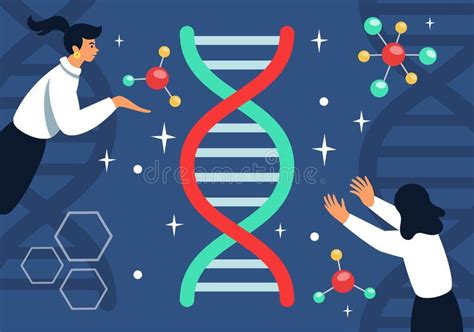 Dna Gene Inheritance Biology Science Woman And Man Holding And