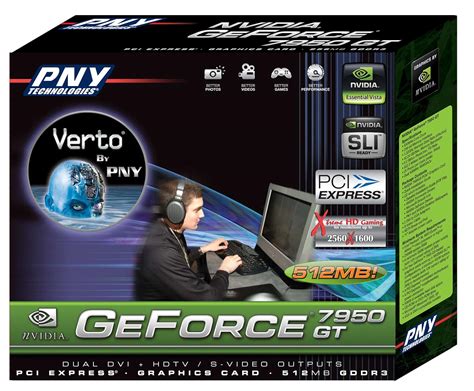 Amazon In Buy PNY Nvidia GeForce GT MB GDDR PCI Express Graphics Card Online At Low