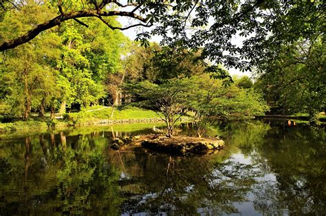 Parque Verde Estanque Foto Gratis En Pixabay Pixabay