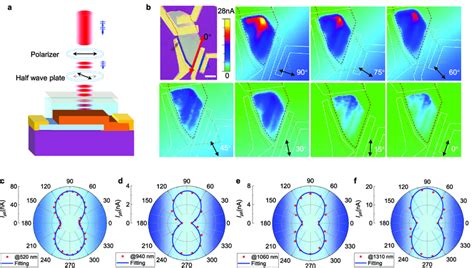 Polarization Detection Characteristics Of The Gese Mos 2 Fe Vhj A Download Scientific Diagram