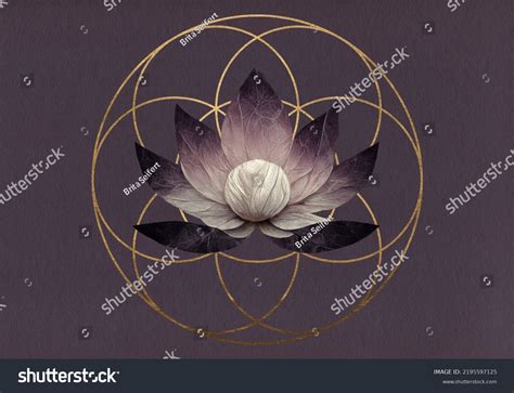 Beautiful Sacred Lotus Flower Sacred Geometry Stock Illustration