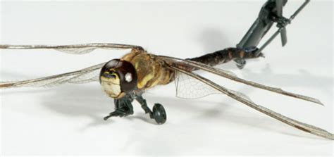 Bug Drones Really — As It Matters