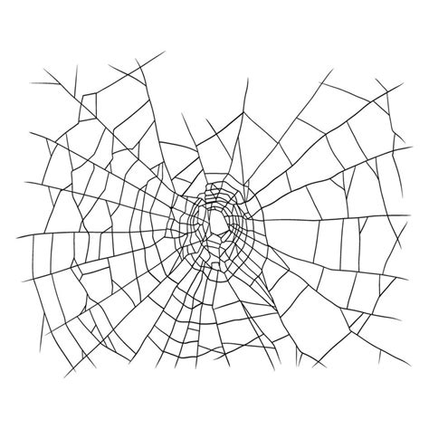 Realistic Spider Web Drawing 2060 Spider Web High Res Illustrations