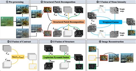 Figure 1 From A Perception Aware Decomposition And Fusion Framework For Underwater Image