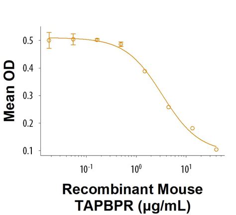 Recombinant Mouse Tapbpr Fc Chimera Protein Cf 11254 Tp 050 Randd Systems