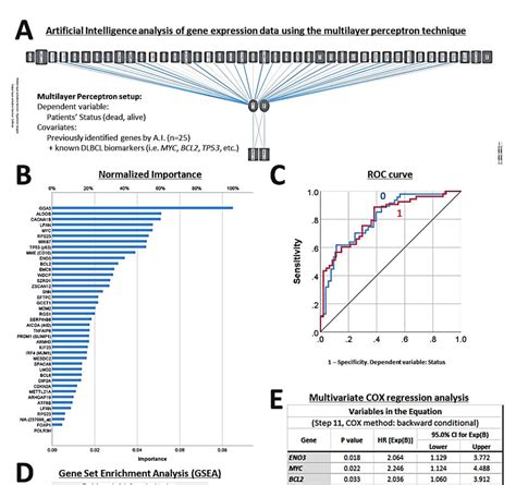 Artificial Intelligence Based Reanalysis Of The 25 Newly Identified