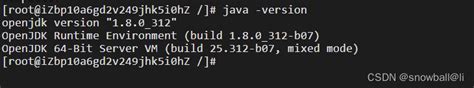 centos8：安装java centos安装java8 csdn博客