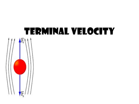 Terminal Velocity Definition Terminal Velocity Archives Ap Physics C