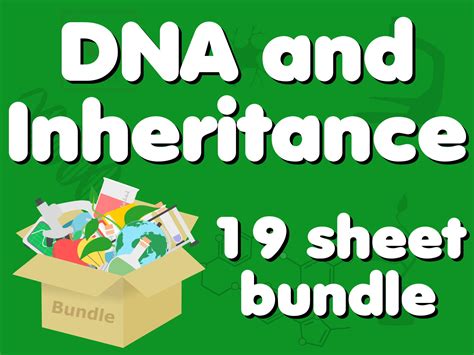 19 Sheet Dna And Inheritance Gcse Homework Bundle Teaching Resources
