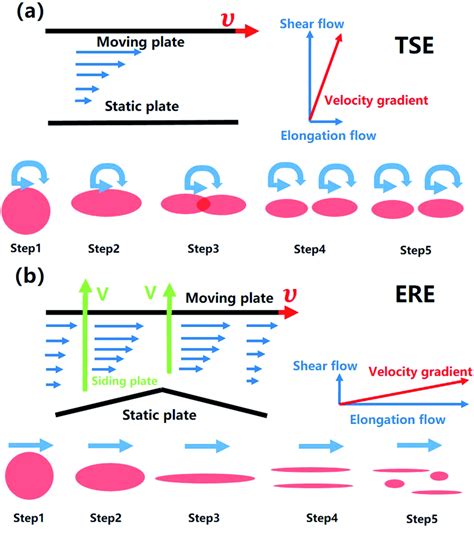 Schematic Diagram Of The Dispersion Process For Pcpp Alloys Prepared