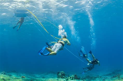 Snuba Diving Locations At Gemma Oconor Blog