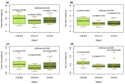 variability of field data with boxplot plus strip chart and means