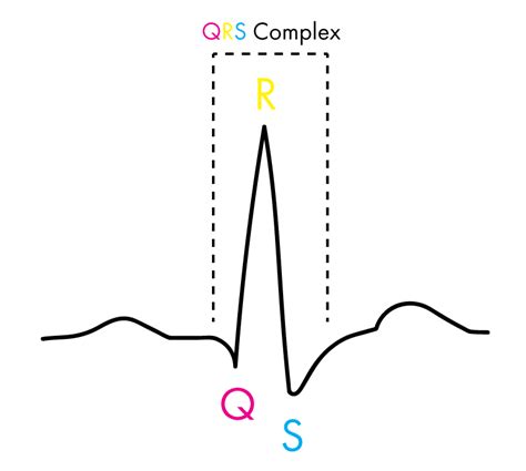 Heart Rate Variability How To Analyze Ecg Data Imotions
