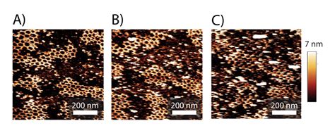 Video High Speed Atomic Force Microscopy Imaging Of Dna Three Point Star Motif Self Assembly