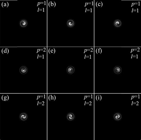 Simulations Of Higher Order Spiral Finch Systems Psfs A D And Download Scientific