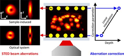 Photon Efficient Aberration Correction For 3d Sted Imaging Of Thick Biological Specimens Using