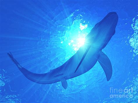 Illustration Of A Leedsichthys Photograph By Sebastian Kaulitzki