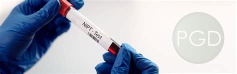 Non Invasive Prenatal Test Nipt Pgd Labs Kuwait