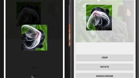 Image Edit Plugin For Xamarin Demo YouTube