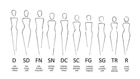 The 13 Kibbe Body Types With Examples Artofit