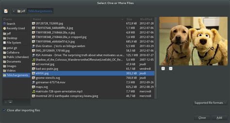 Autohiding Fullscreen Toolbar Error Dialogs And File Format Filtering The Open Sourcerer